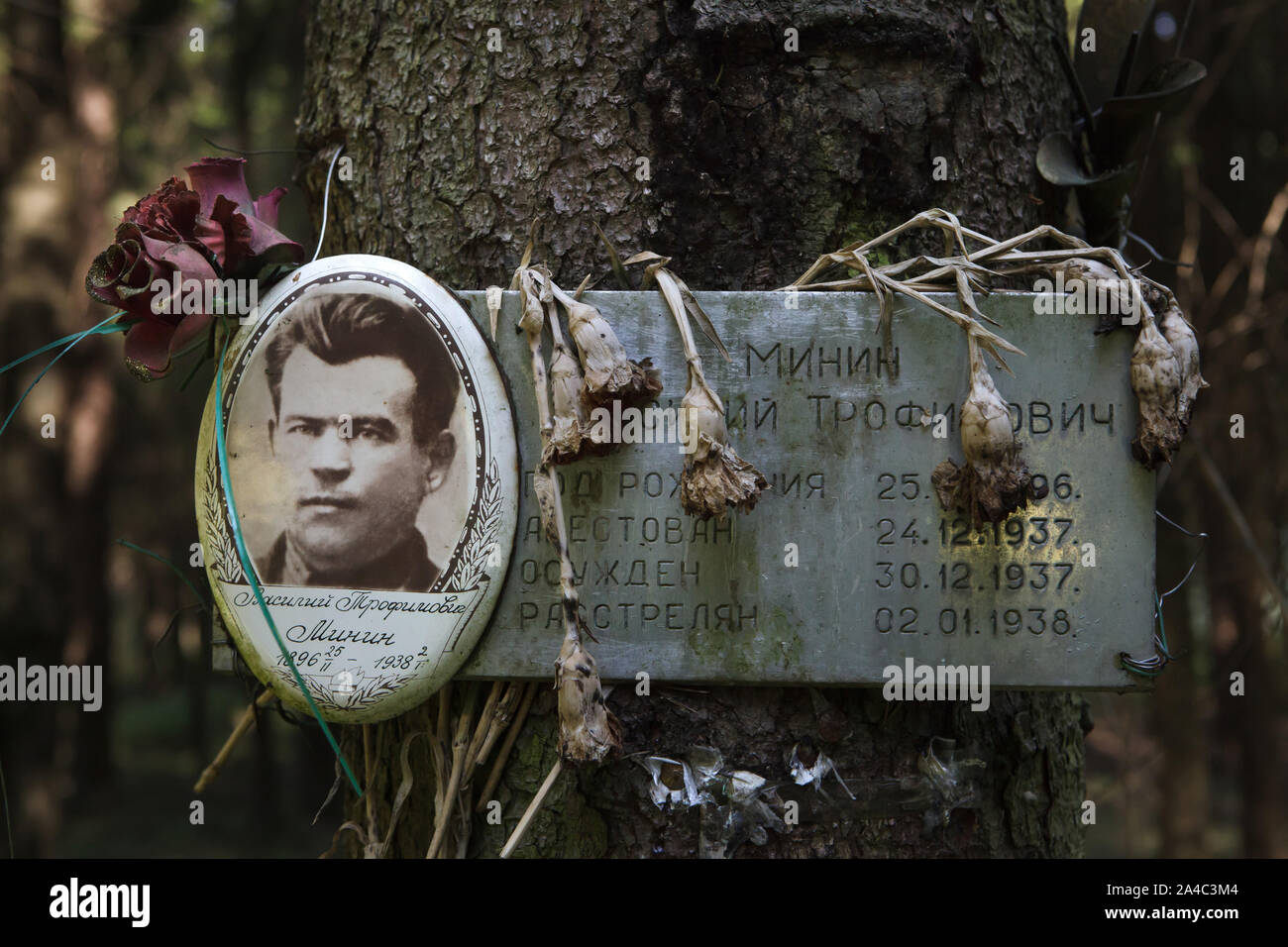 Nkvd execution Banque de photographies et d’images à haute résolution ...