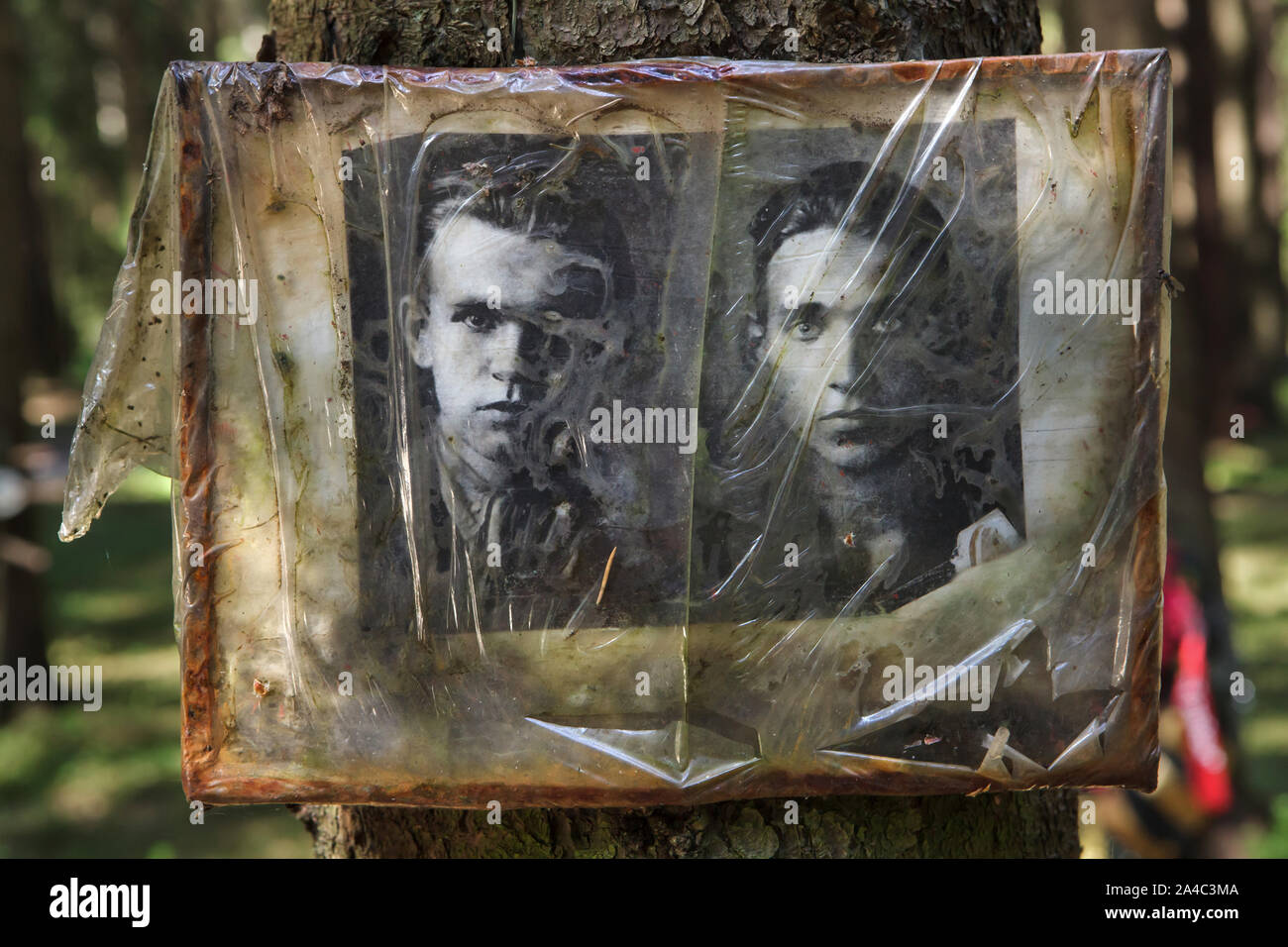 Nkvd execution Banque de photographies et d’images à haute résolution ...