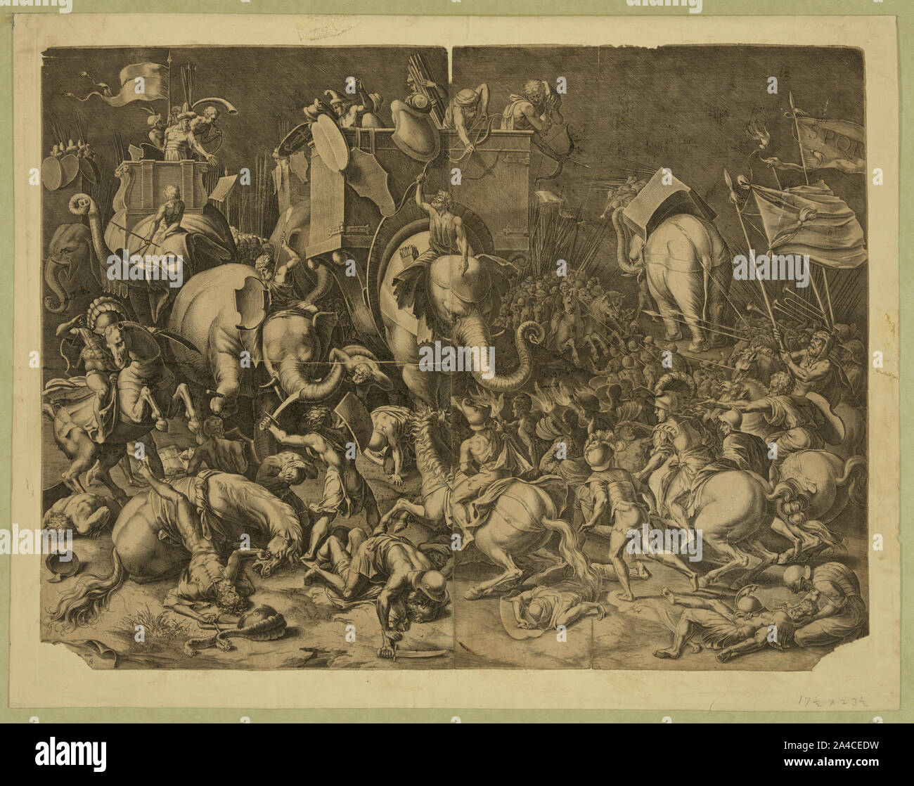 Battle of zama Banque de photographies et d’images à haute résolution ...