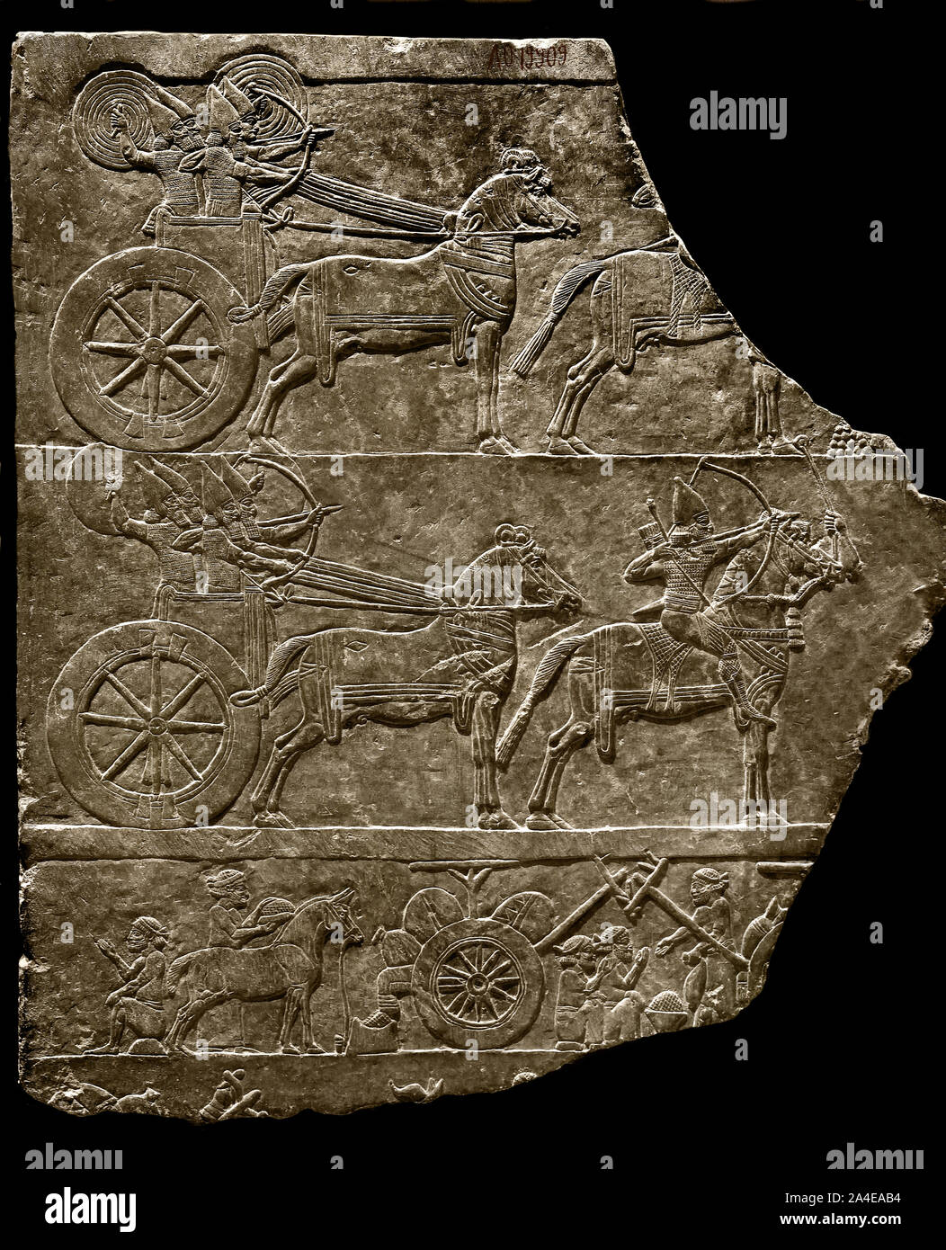 Char et les cavaliers de l'armée assyrienne autour de 645 BC Ninive ...