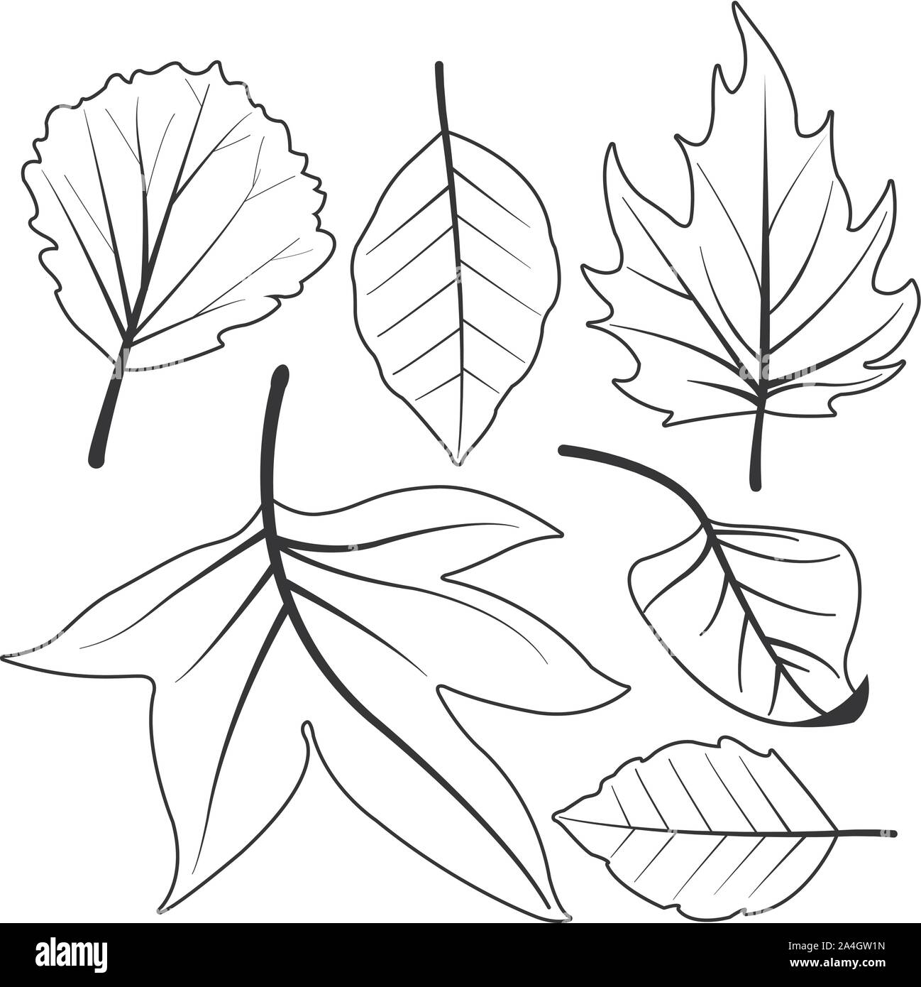 Collection de différents sécher les feuilles d'automne. Vector noir et ...