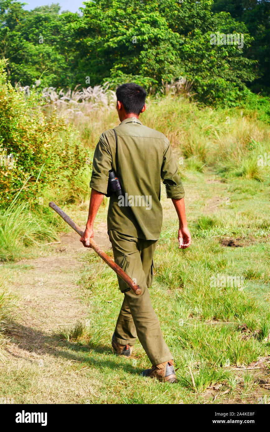 Jungle guide Banque de photographies et d’images à haute résolution - Alamy