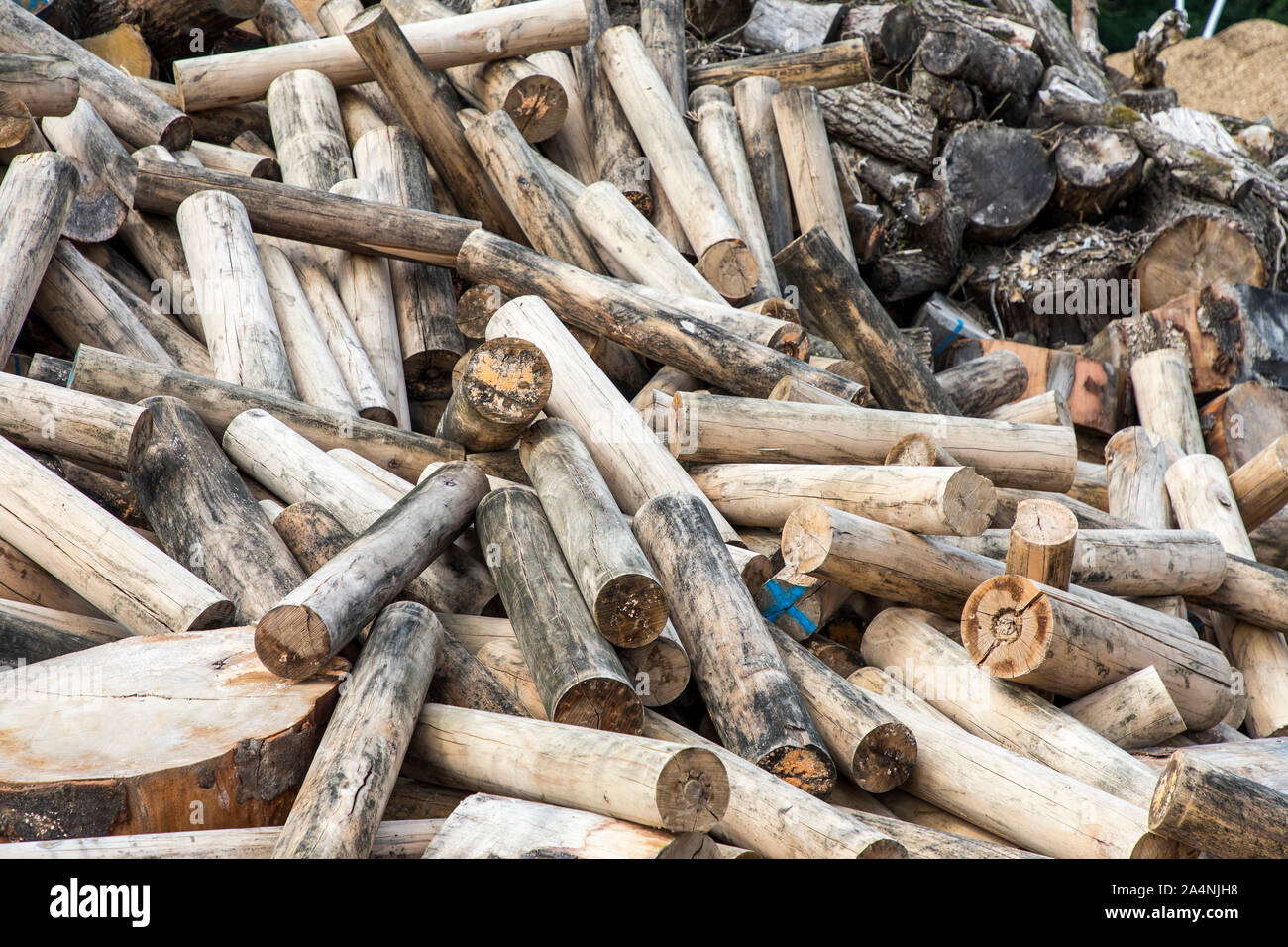 Les déchets de bois, à être transformés en bois de chauffage, copeaux ...