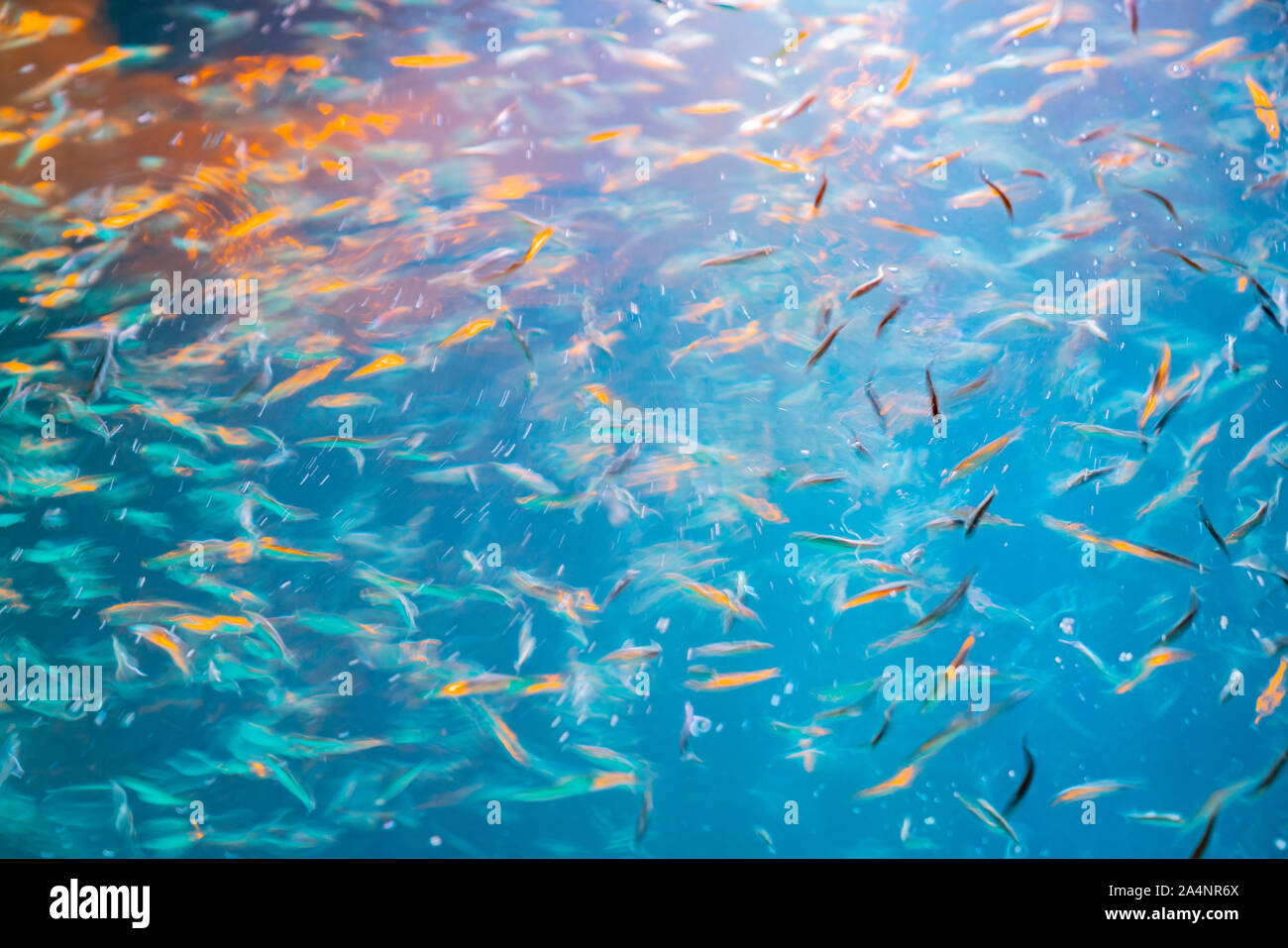 Résumé d'une longue exposition de Deep Blue sur l'eau éclairé par la ...