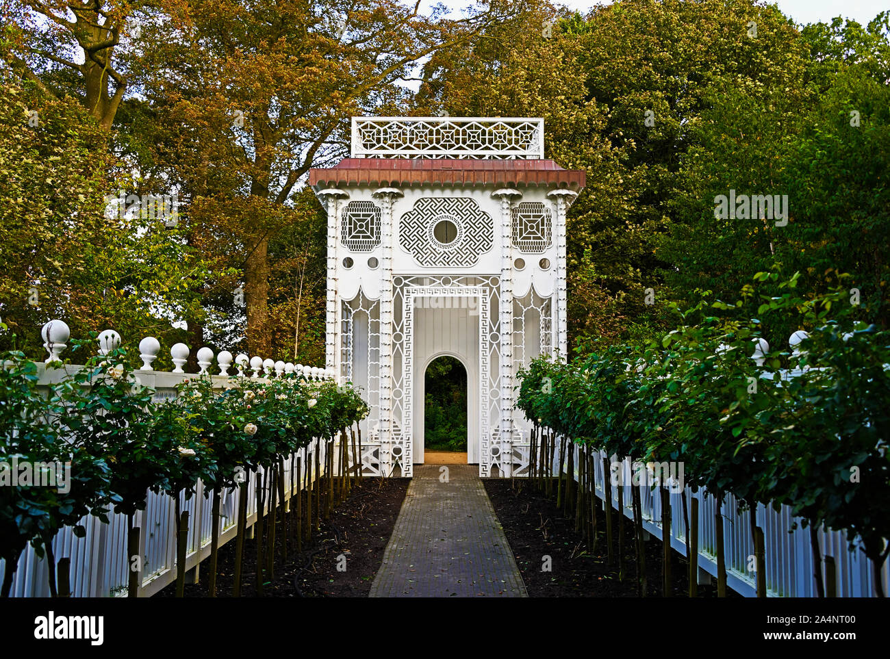 Rose bronstein Banque de photographies et d’images à haute résolution ...