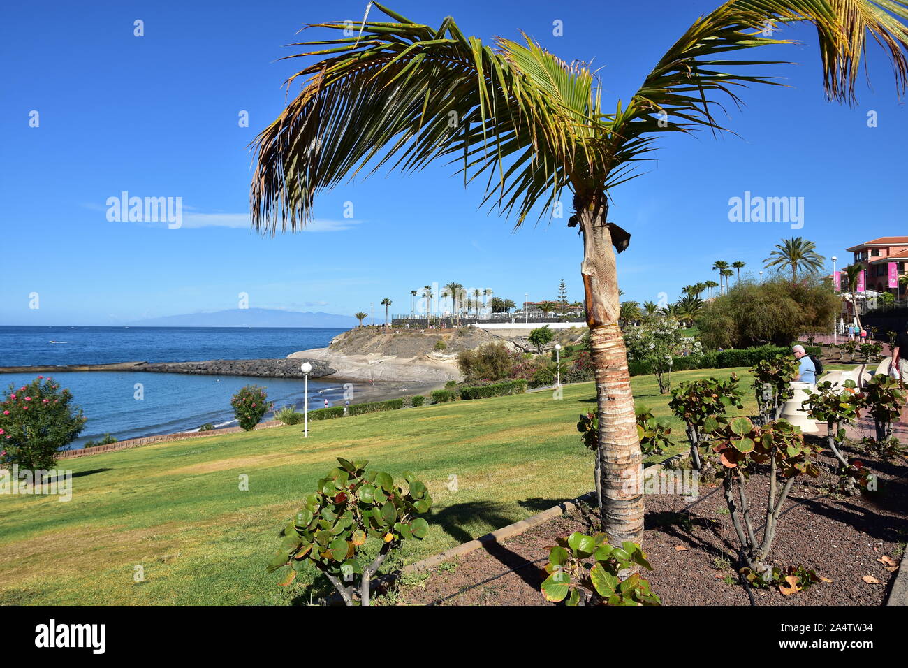 Playa fanabe tenerife Banque de photographies et d’images à haute ...