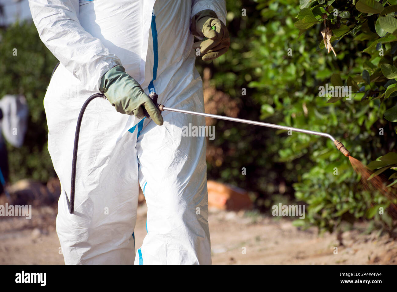 Man spraying insecticides Banque de photographies et d’images à haute ...