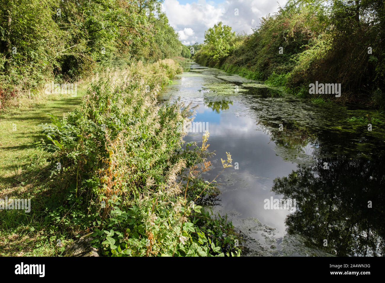 Marche le long du chemin de halage Banque de photographies et d’images ...