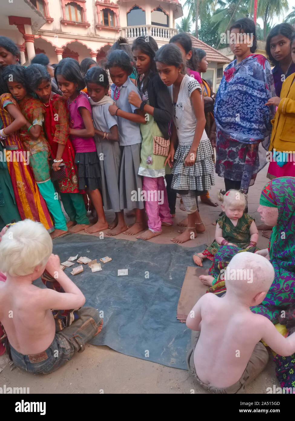 Indian albino Banque de photographies et d’images à haute résolution ...