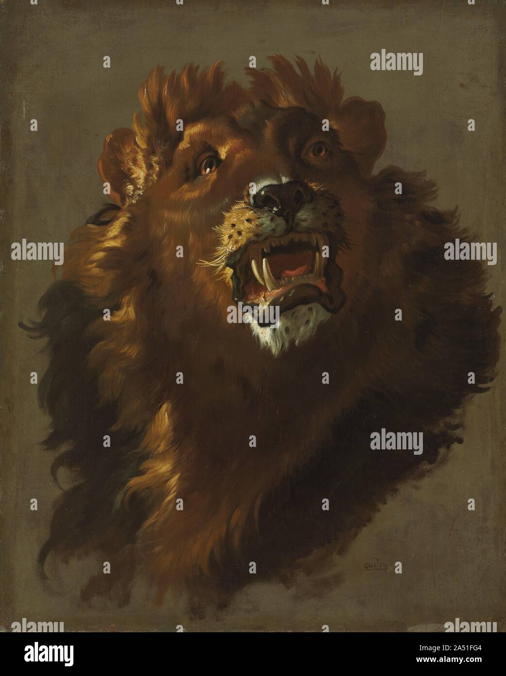 Lion, années 1750. À la recherche vers le haut avec les yeux brillant ...