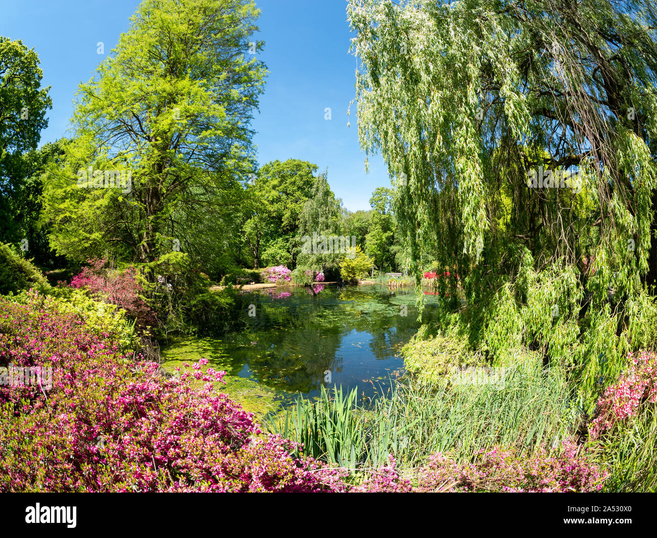 Jardin de fleurs de londres Banque de photographies et d’images à haute ...