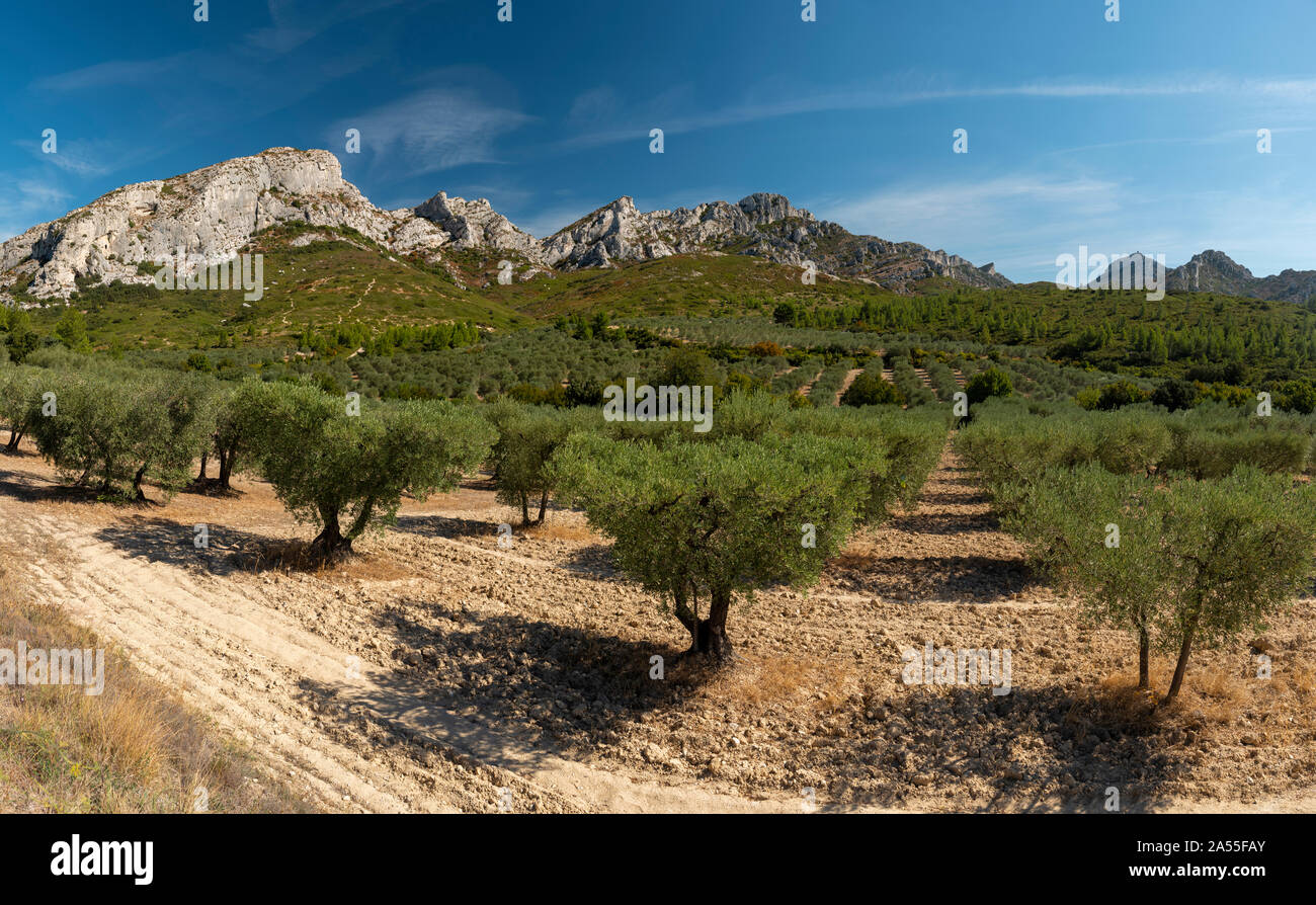 Symbole de la provence Banque de photographies et d’images à haute ...