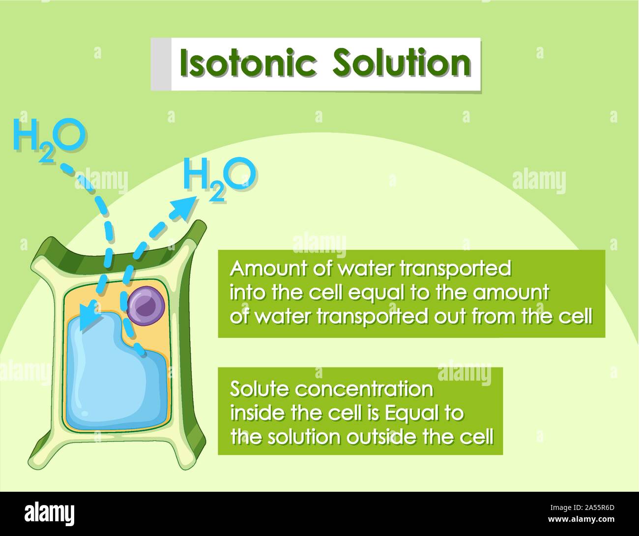 Cellule en solution isotonique Banque de photographies et d’images à ...