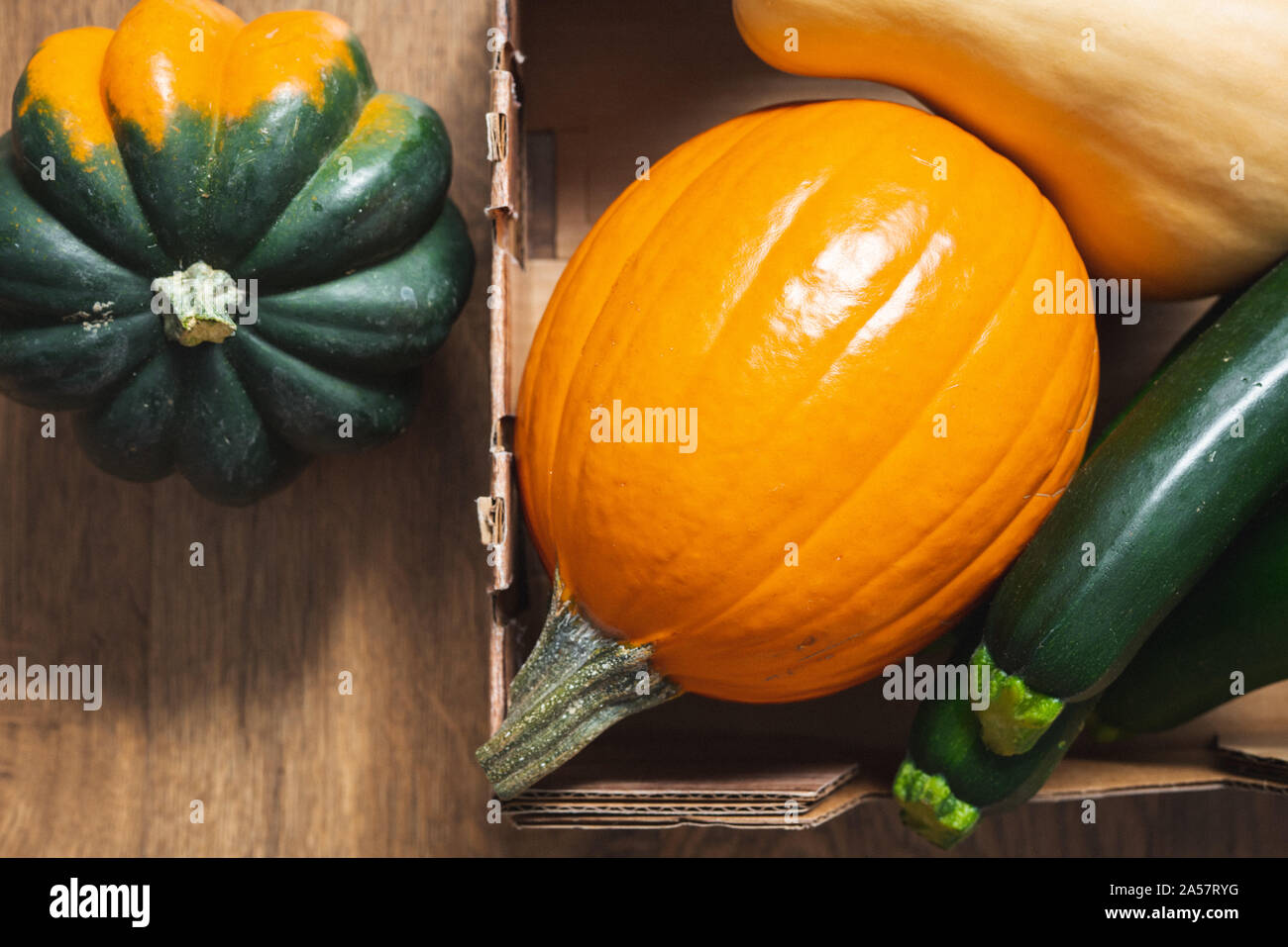Citrouille, courge poivrée, courge Butternut, courgette et close up ...