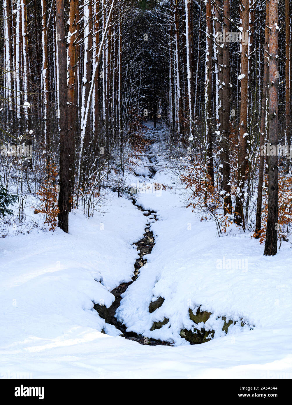 Tout recouvert de neige Banque de photographies et d’images à haute ...