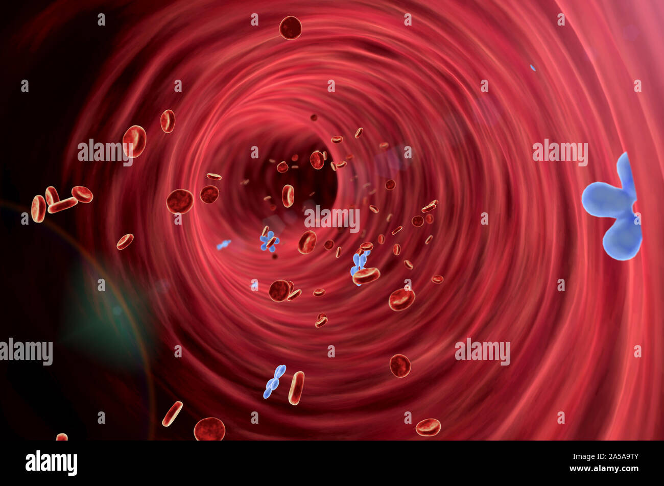 L'insuline et des leucocytes à l'intérieur du vaisseau sanguin ...