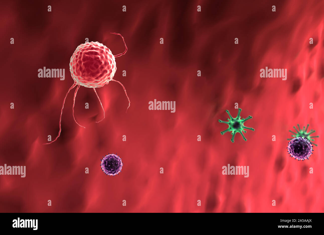 Les cellules de cancer, cancer cell en rendu 3D, amas de cellules, des ...