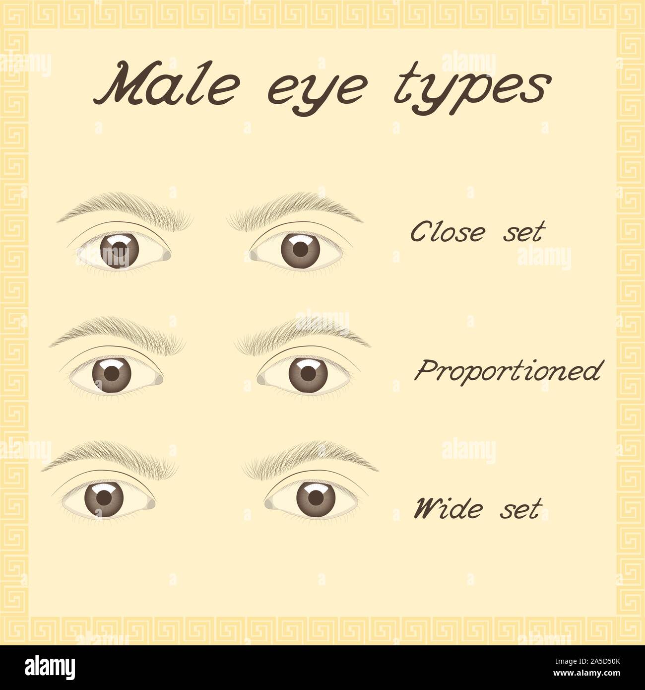 Yeux en amande Banque d'images vectorielles - Alamy