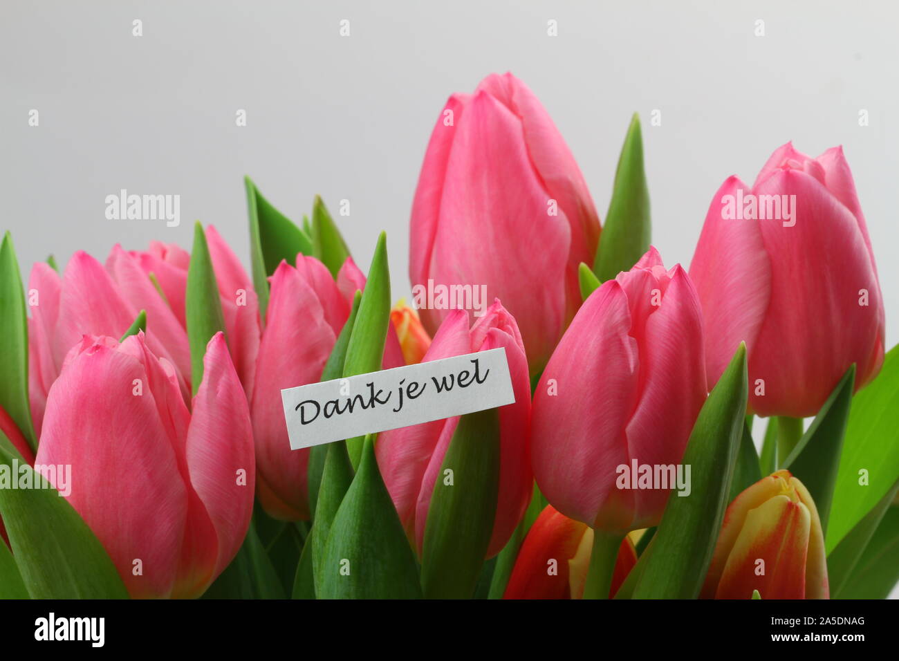 Carte de remerciement avec des roses roses Banque de photographies et d ...