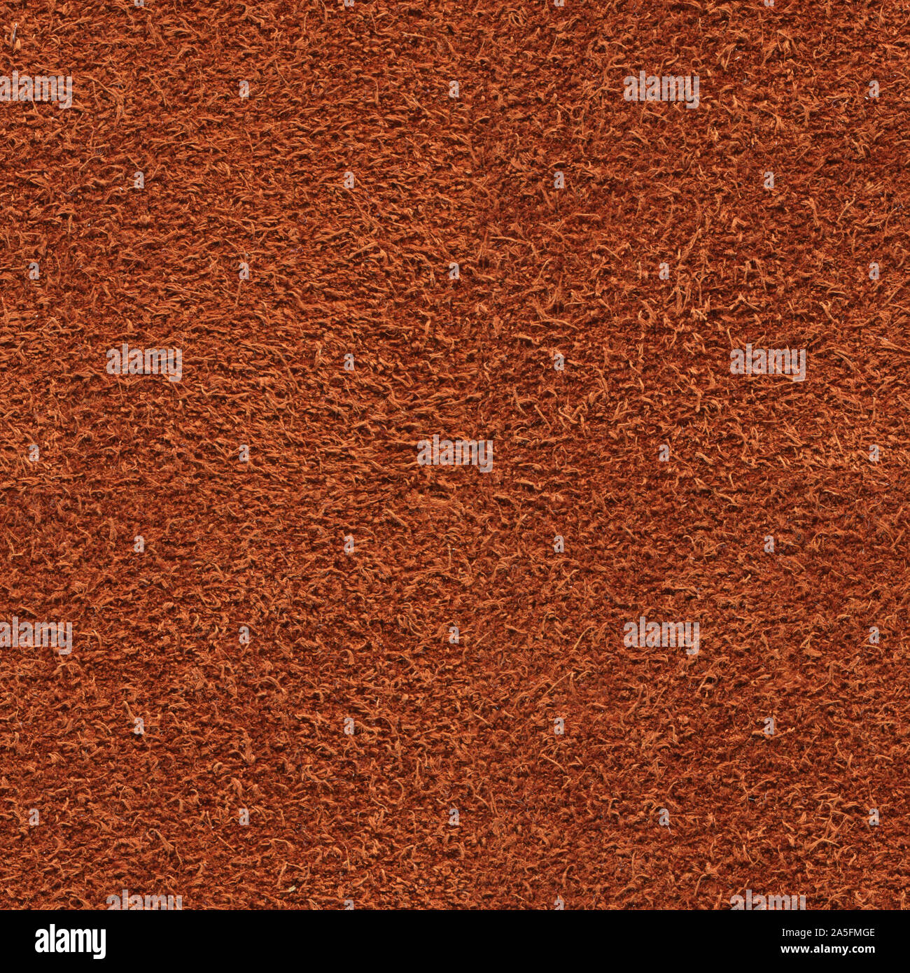 Daim rouge Banque de photographies et d’images à haute résolution - Alamy