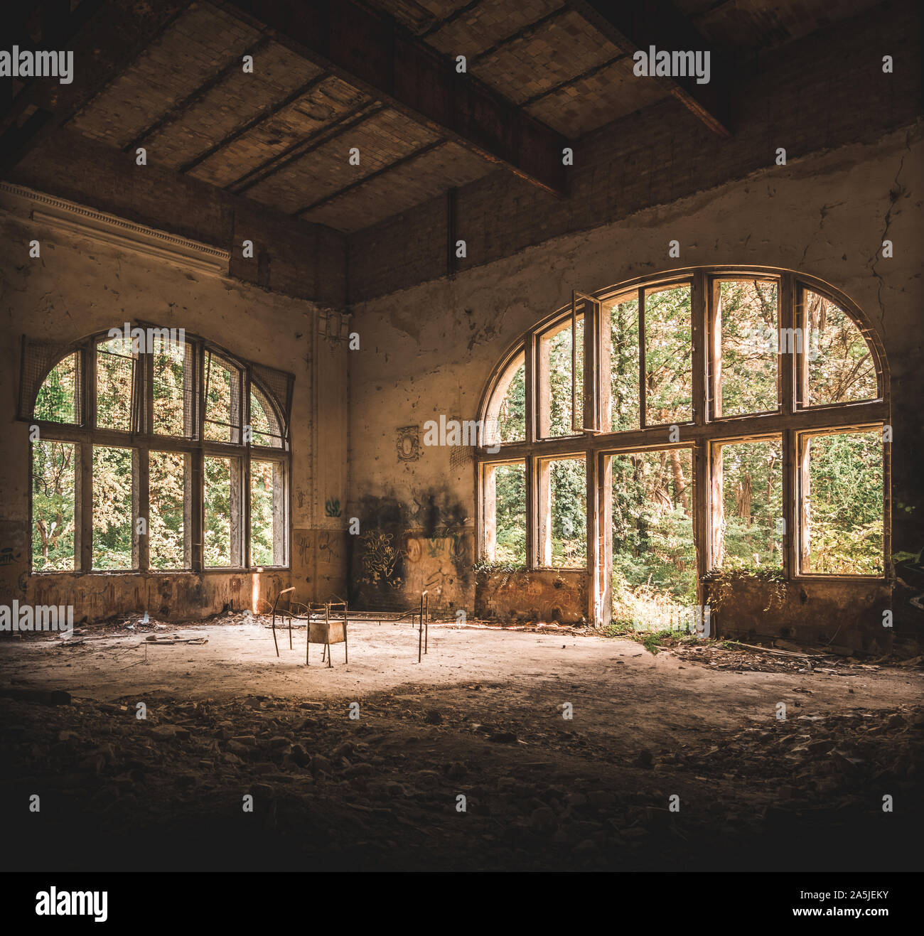 Bois Perdu Banque d'image et photos - Alamy