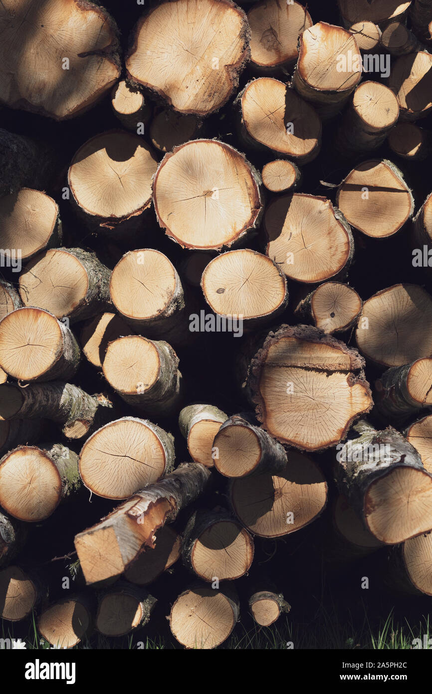 Grand groupe de journaux Banque de photographies et d’images à haute ...