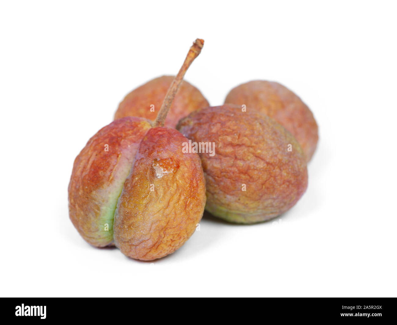 Prunes pourries Banque d'images détourées - Alamy