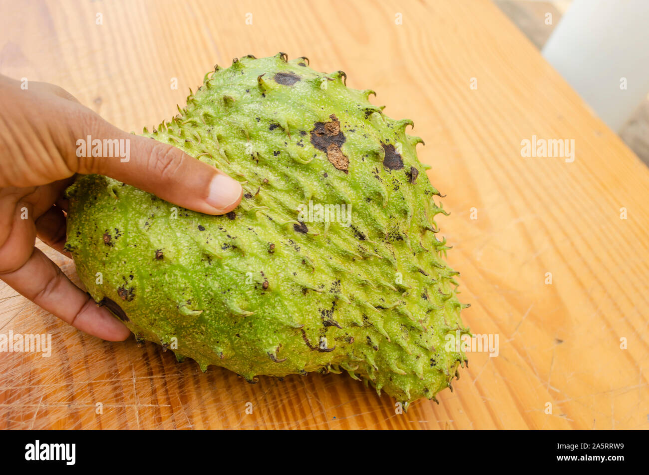 Famille de corossol Banque de photographies et d’images à haute ...