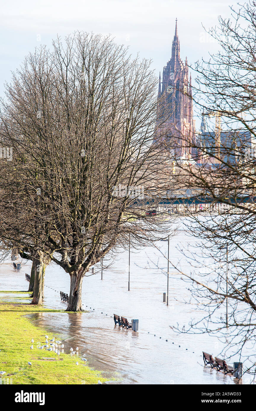 Plaine inondable du rhin Banque de photographies et d’images à haute ...
