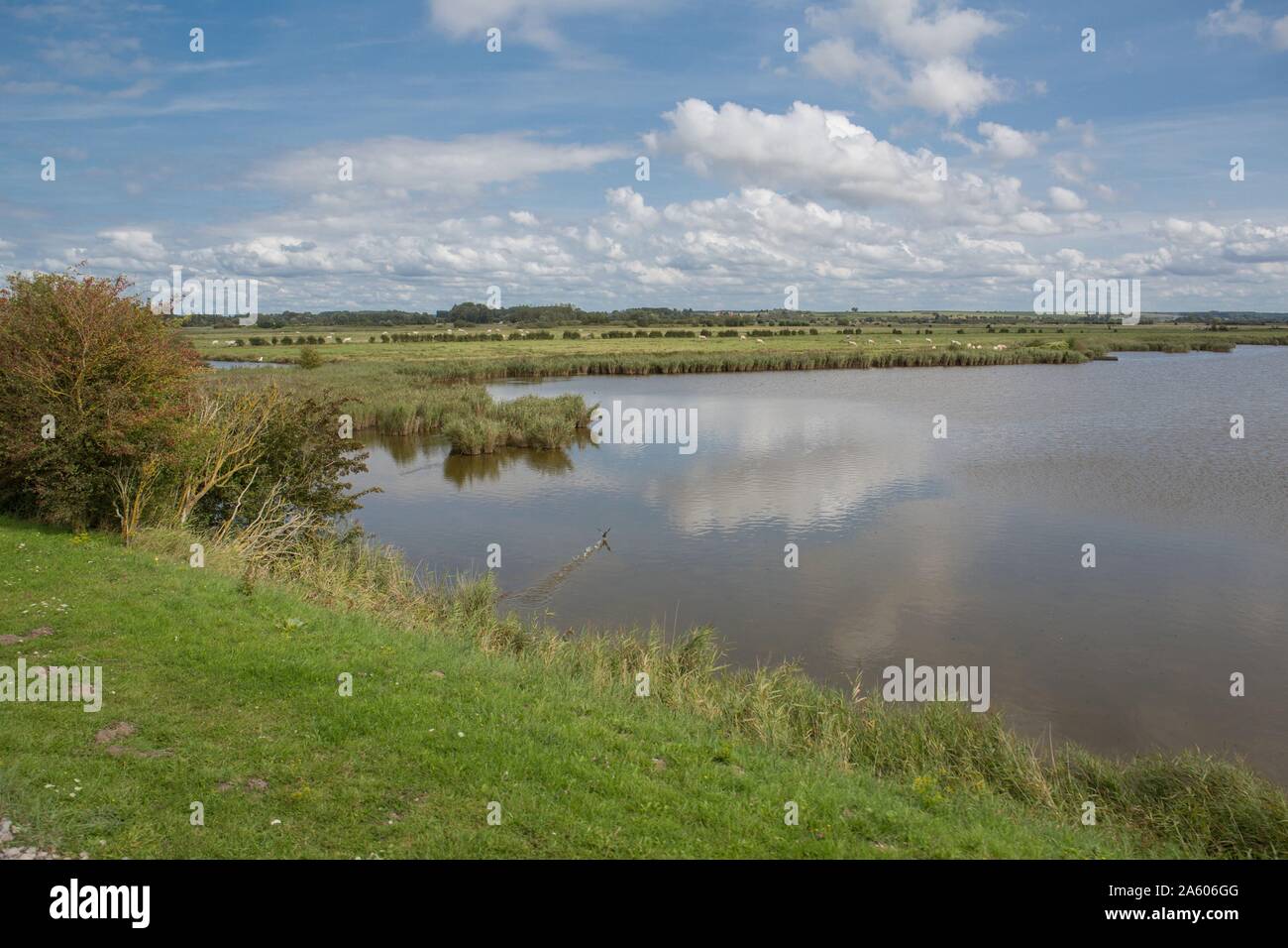 France, Baie de Somme, Somme, chemin de fer panoramique de la Baie de ...