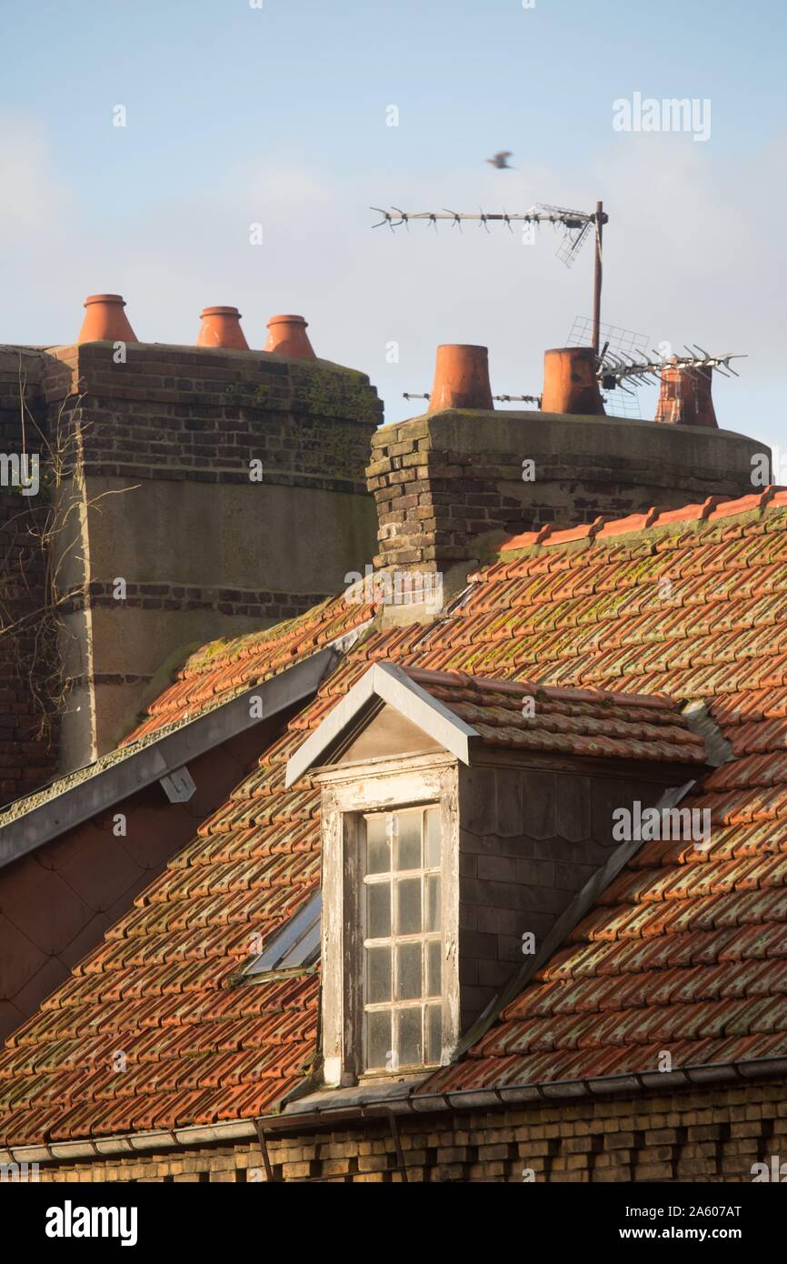 La France, Pays de Caux, Dieppe, maisons dans le Pollet, détail, lucarne lucarne sur un toit de ...