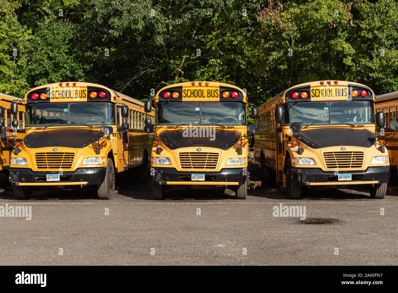 Autobus scolaires jaunes Banque de photographies et d’images à haute ...