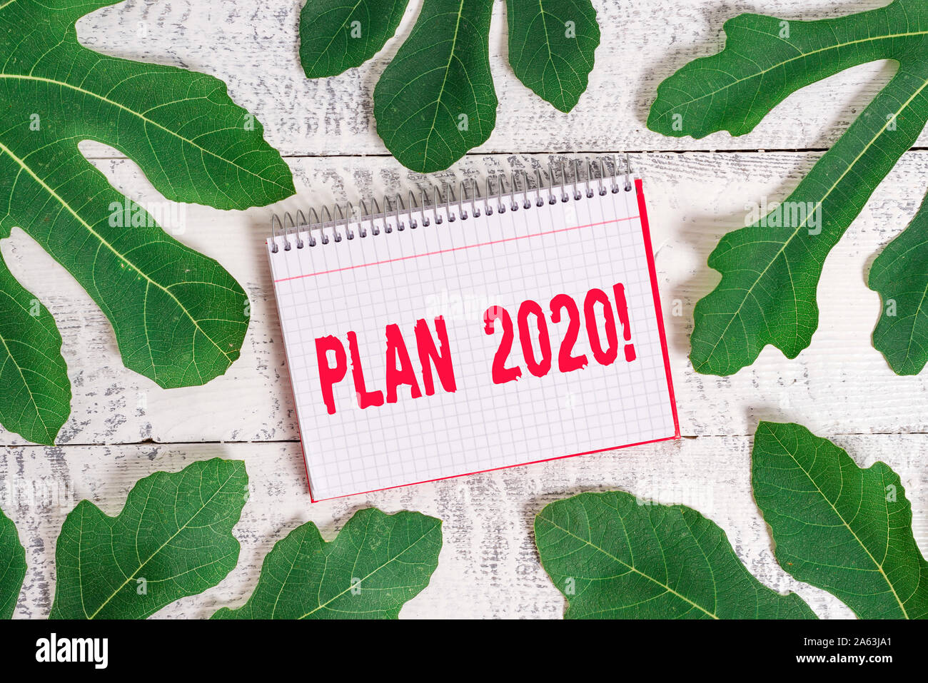 Plan conceptuel indiquant par écrit à la main 2020. Sens Concept ...