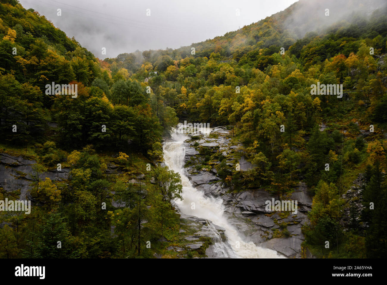 Gondo gondo Banque de photographies et d’images à haute résolution - Alamy
