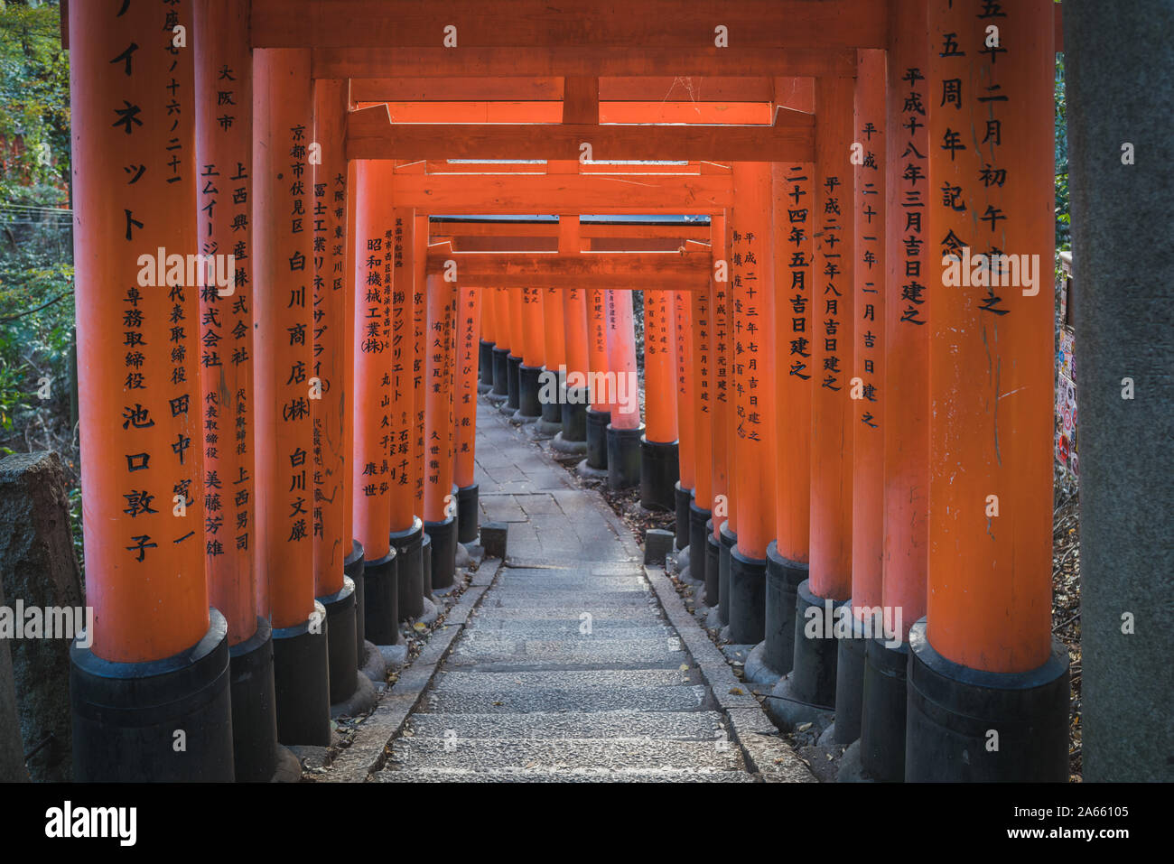 Thousand torii Banque de photographies et d’images à haute résolution ...