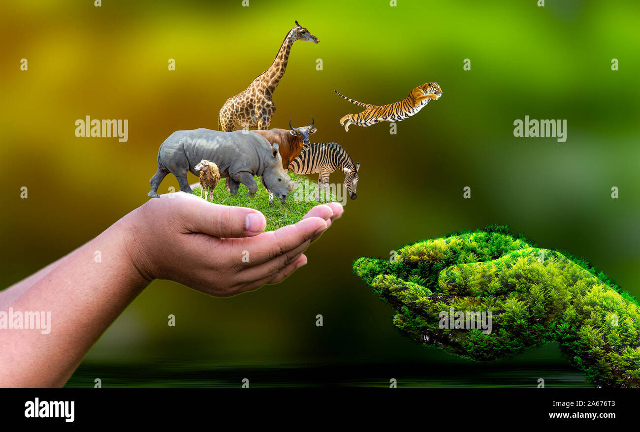 Journée de la Conservation de la faune animal sauvage dans la maison ...