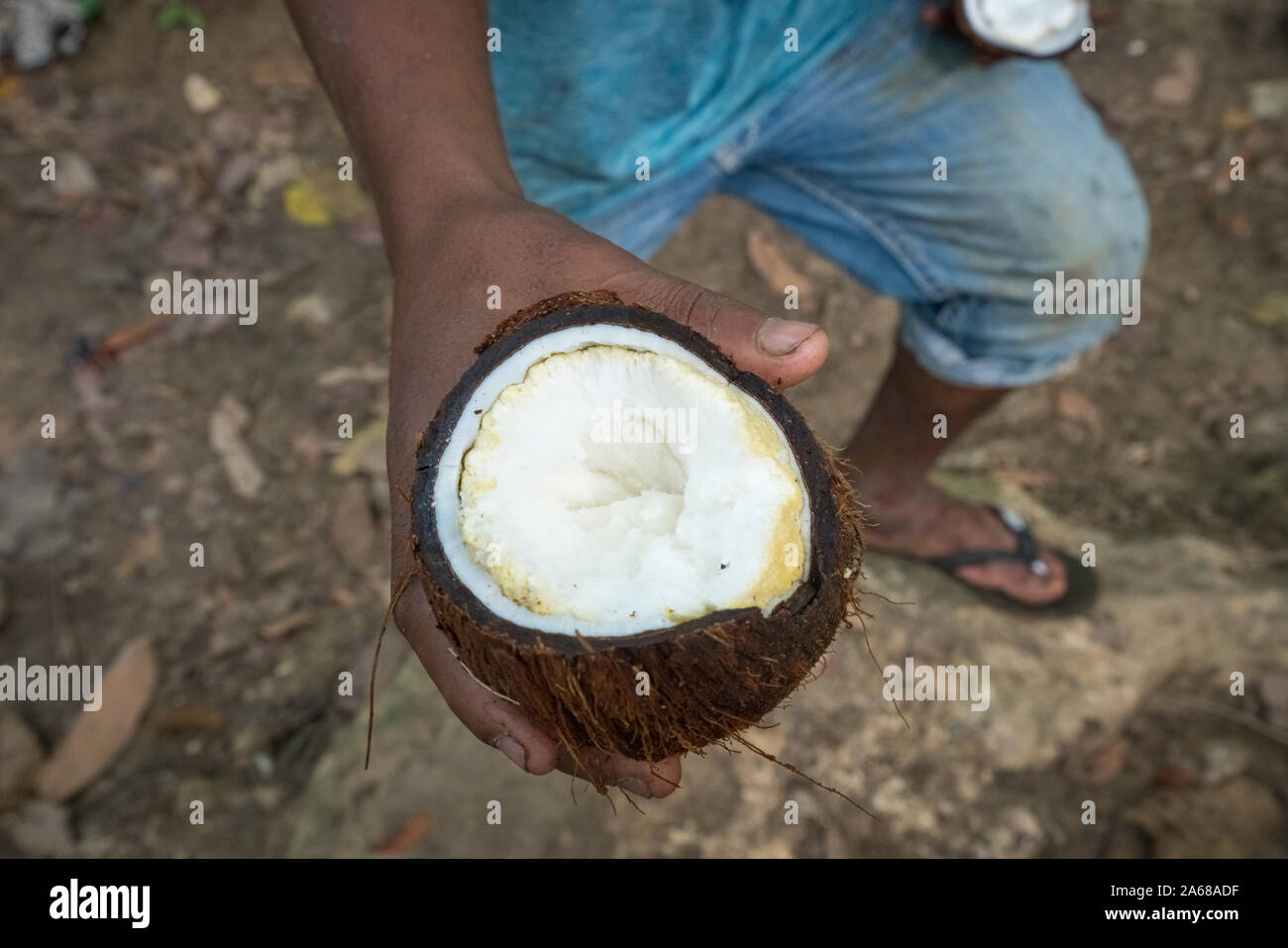 Coconut carving Banque de photographies et d’images à haute résolution ...