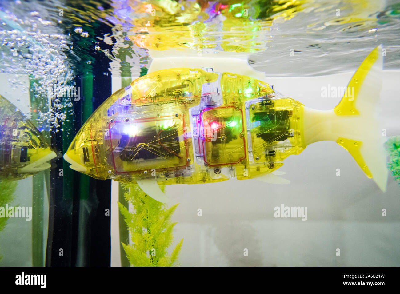 Robotic fish Banque de photographies et d’images à haute résolution - Alamy