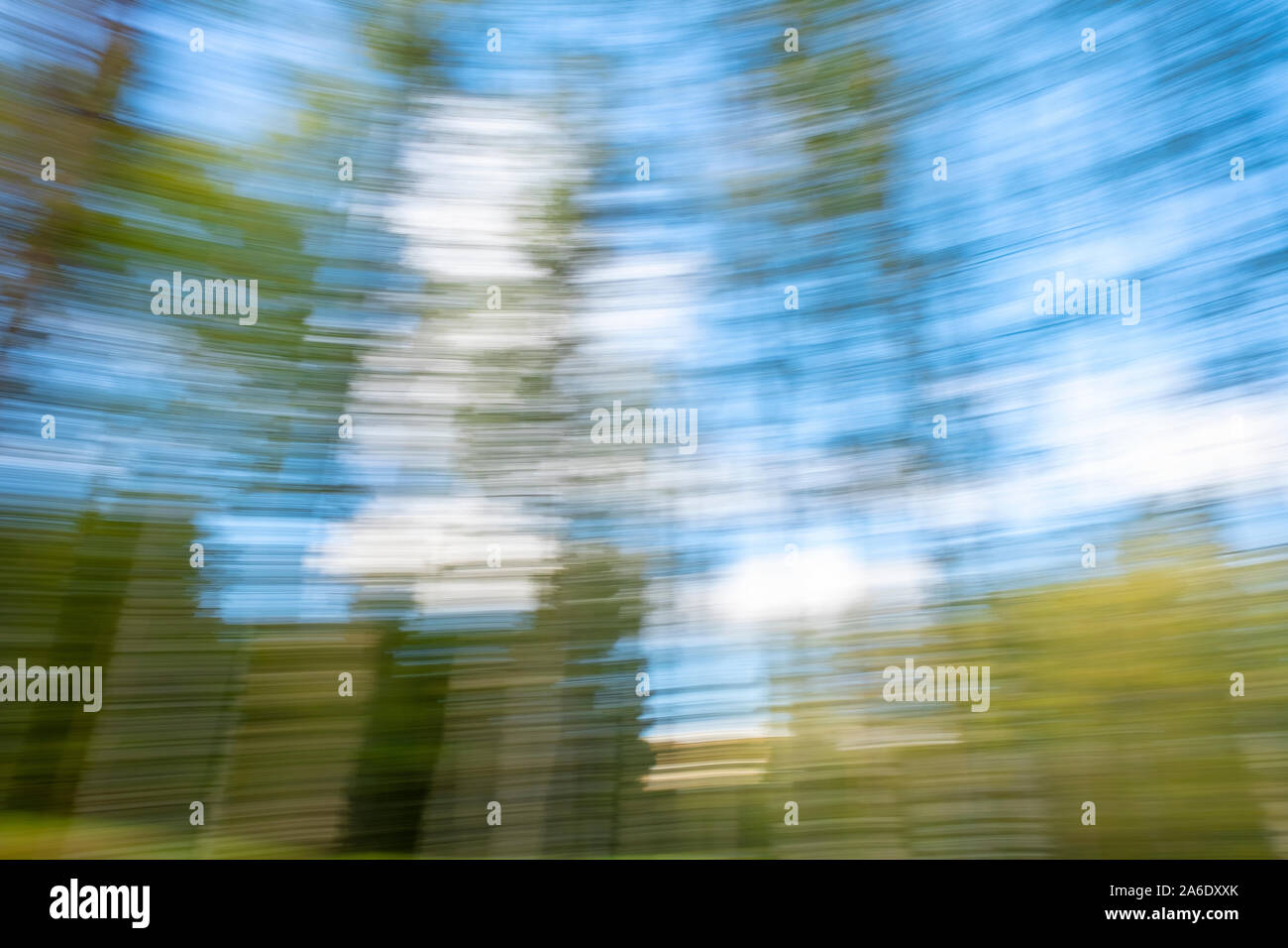 Nature floue Banque de photographies et d’images à haute résolution - Alamy