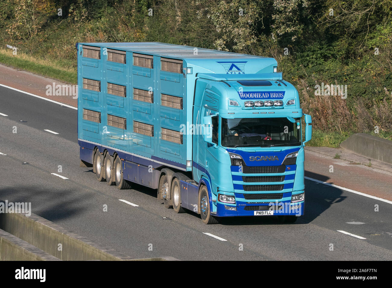 Livestock transports Banque de photographies et d’images à haute ...