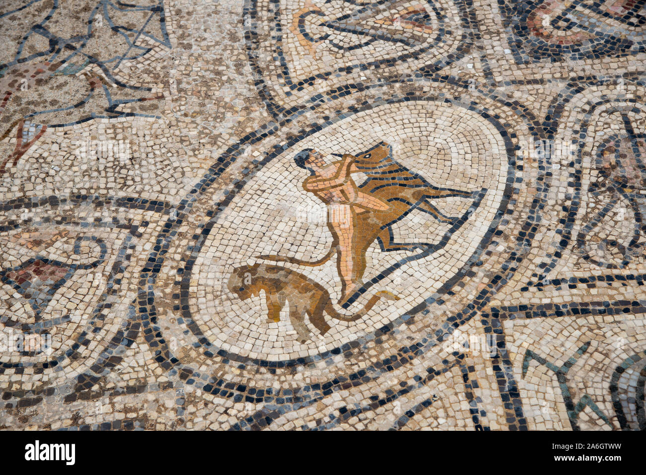 Célèbre mosaïque romaine Banque de photographies et d’images à haute ...