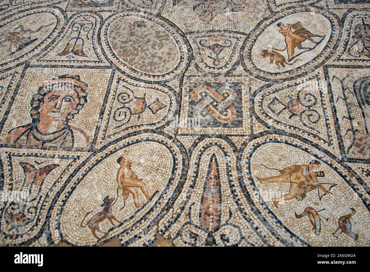 Célèbre mosaïque romaine Banque de photographies et d’images à haute ...