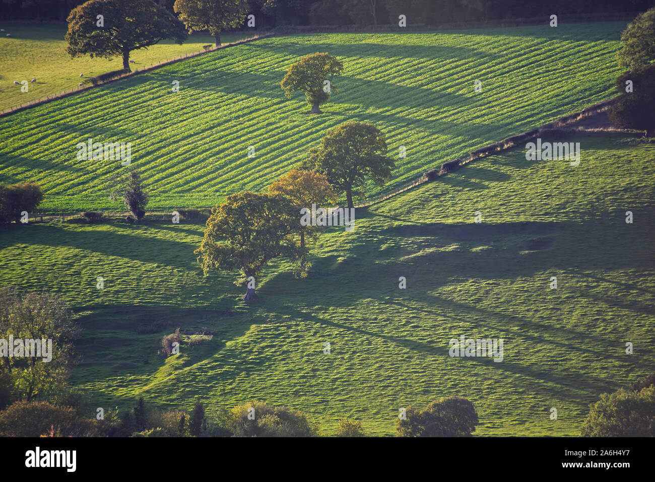 Wenlock edge Banque de photographies et d’images à haute résolution - Alamy