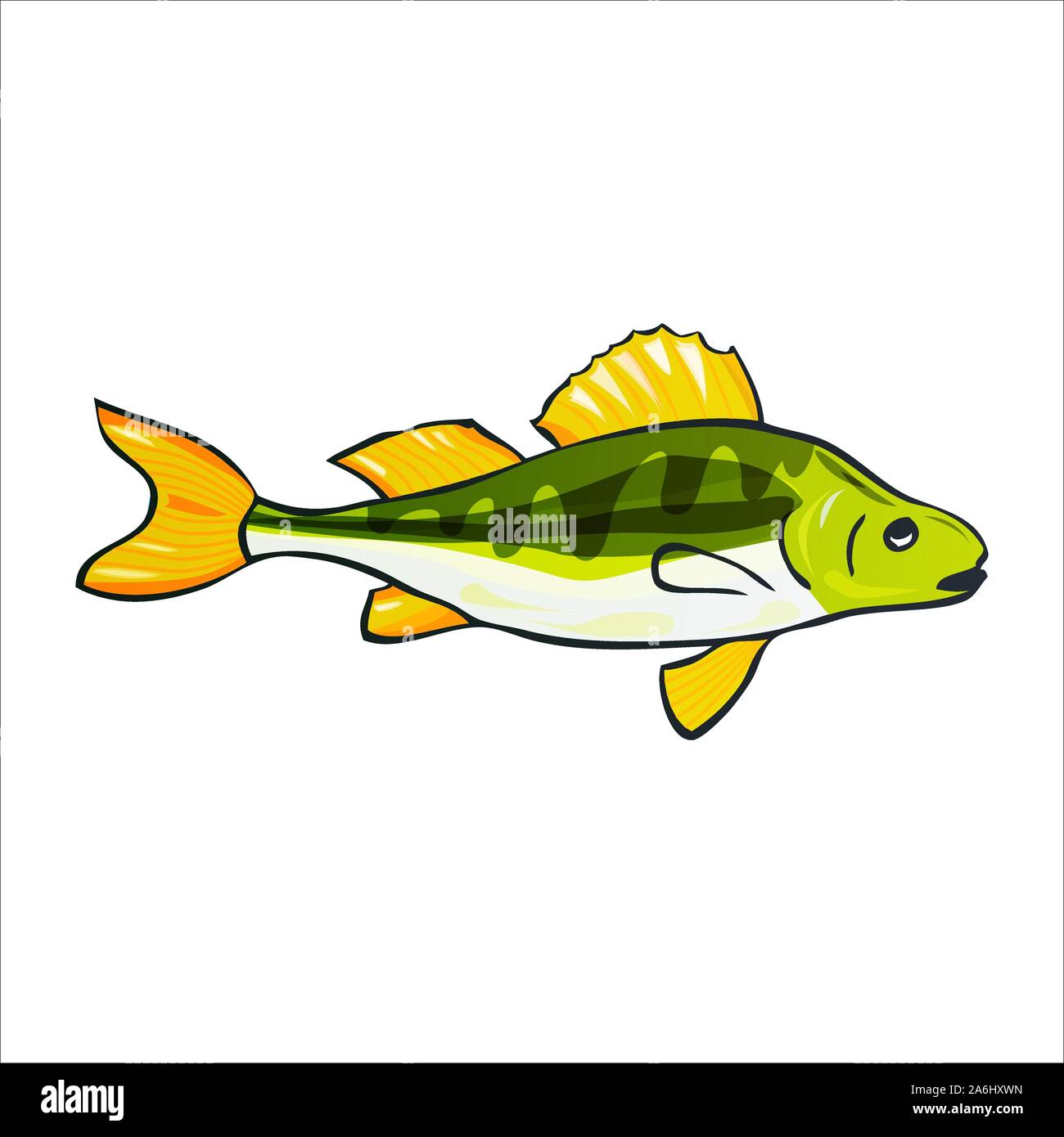 Vector illustration de poissons. La perchaude. Vector illustration ...