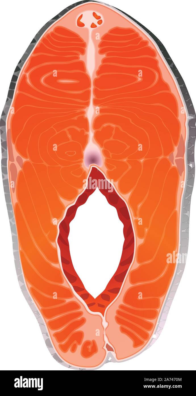 Section de viande de poisson Banque d'images vectorielles - Alamy
