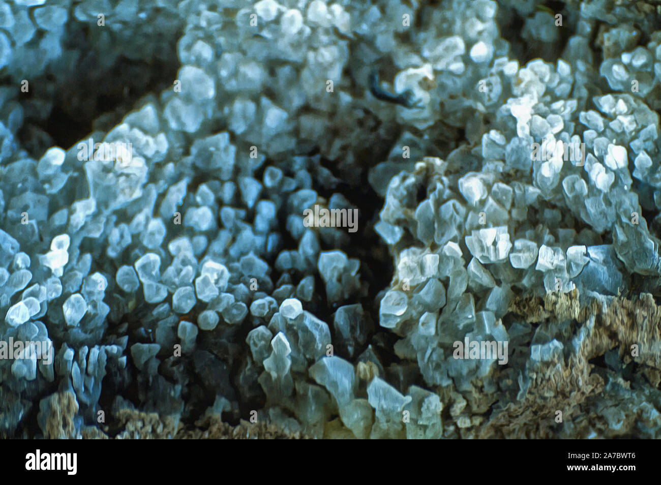 Chlorure d'ammonium Banque de photographies et d’images à haute ...