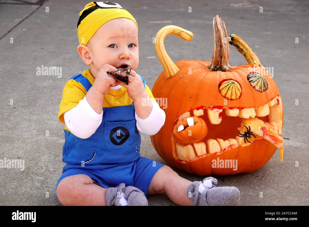Halloween pose Banque de photographies et d’images à haute résolution - Alamy