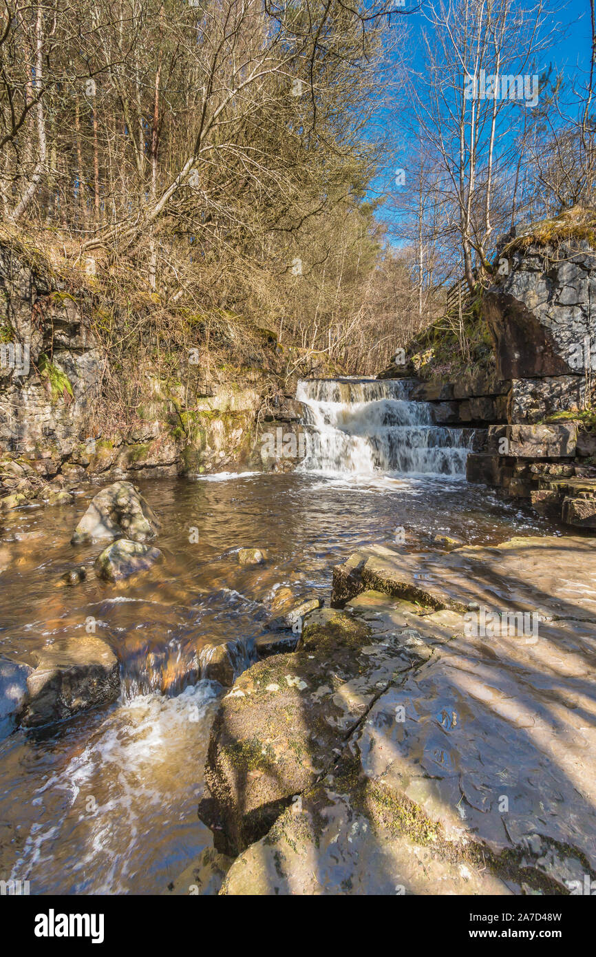 Bow lee beck Banque de photographies et d’images à haute résolution - Alamy