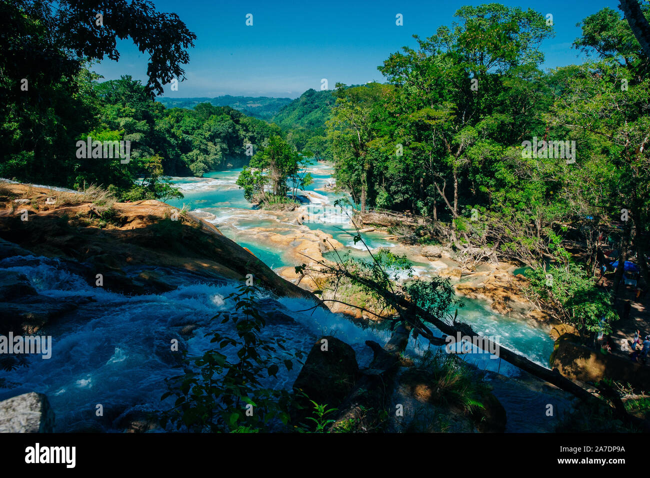 Parque nacional palenque Banque de photographies et d’images à haute résolution - Alamy