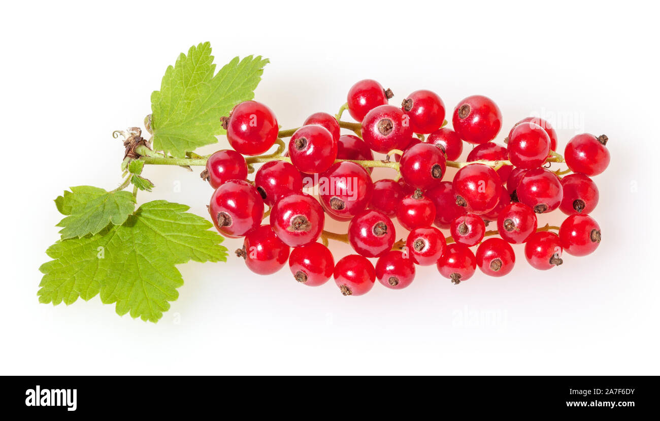 Jus de groseilles Banque de photographies et d’images à haute ...